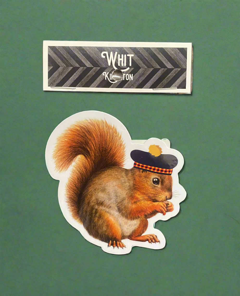 SQUIRREL STICKER – Whit Kingston